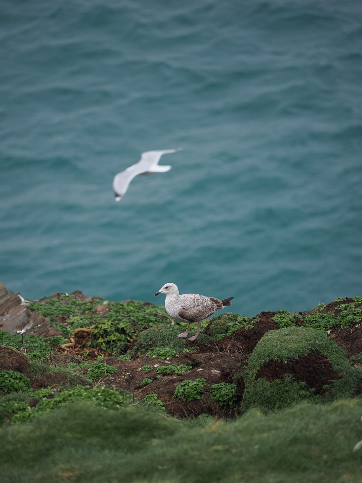 Photographing Port Isaac – The Doc Martin Village of Cornwall
