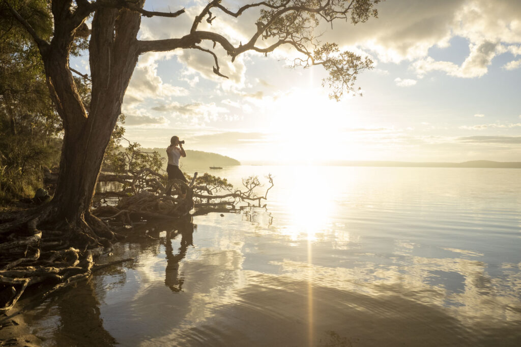 Mastering Light: A Quick Guide to Golden Hour Photography - Photo Tips ...