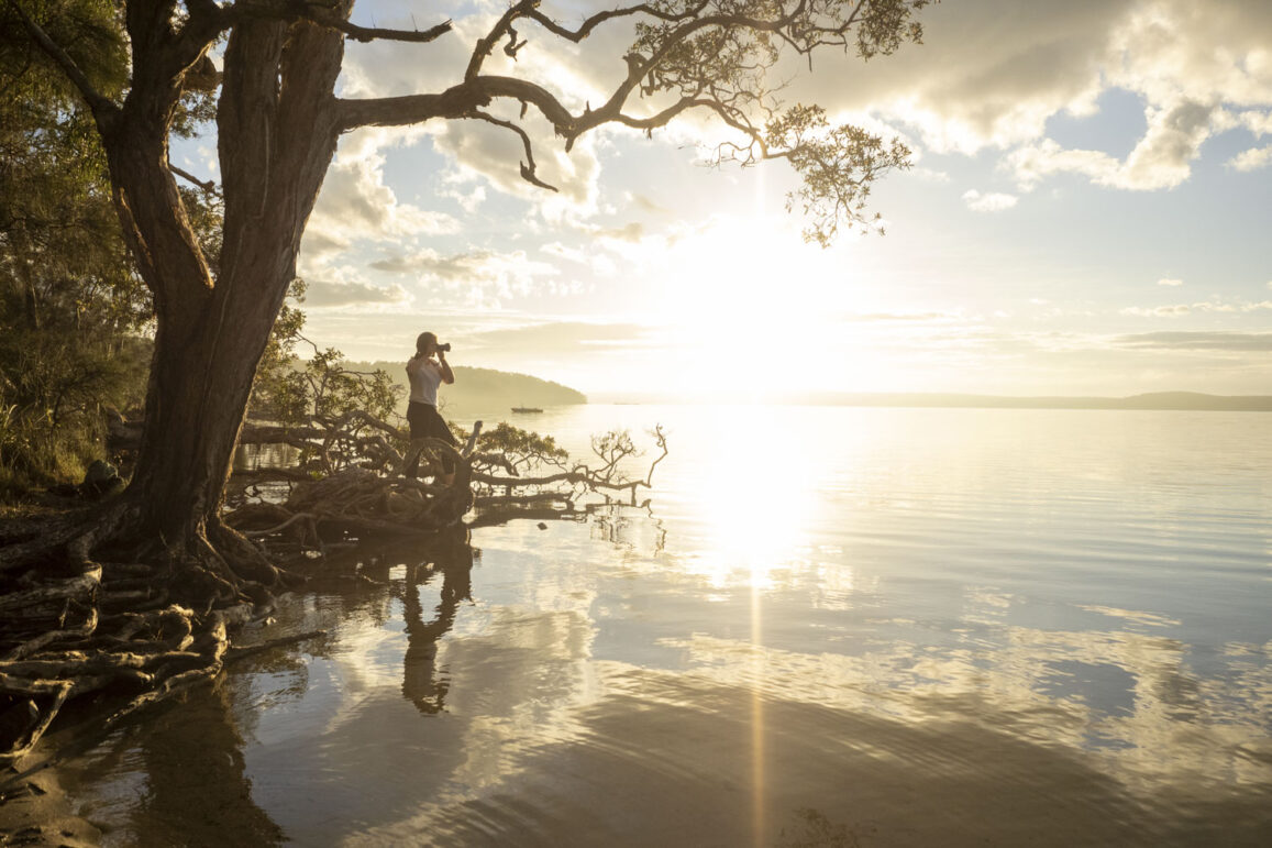 Mastering Light: A Quick Guide to Golden Hour Photography - Photo Tips ...