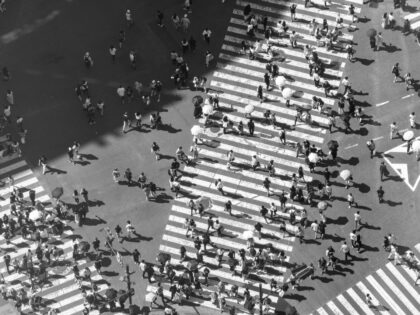 The 7 Best Shibuya Crossing Photography Locations in Tokyo