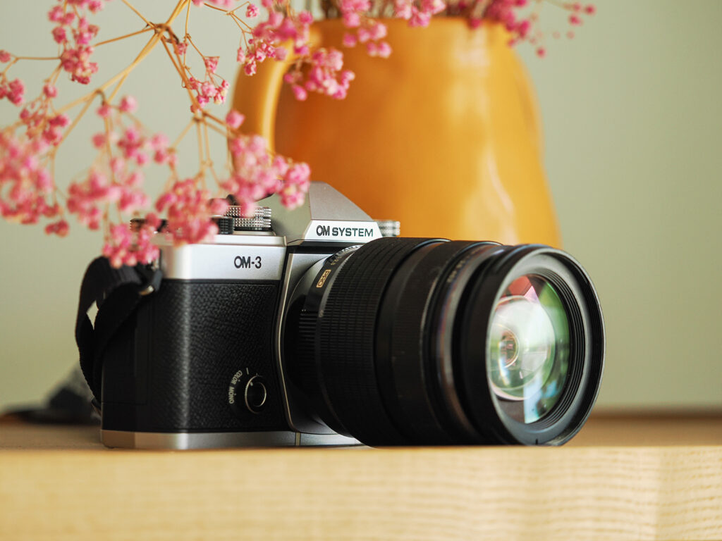 OM-3 Review Photographing Landscapes + Lupins in New Zealand