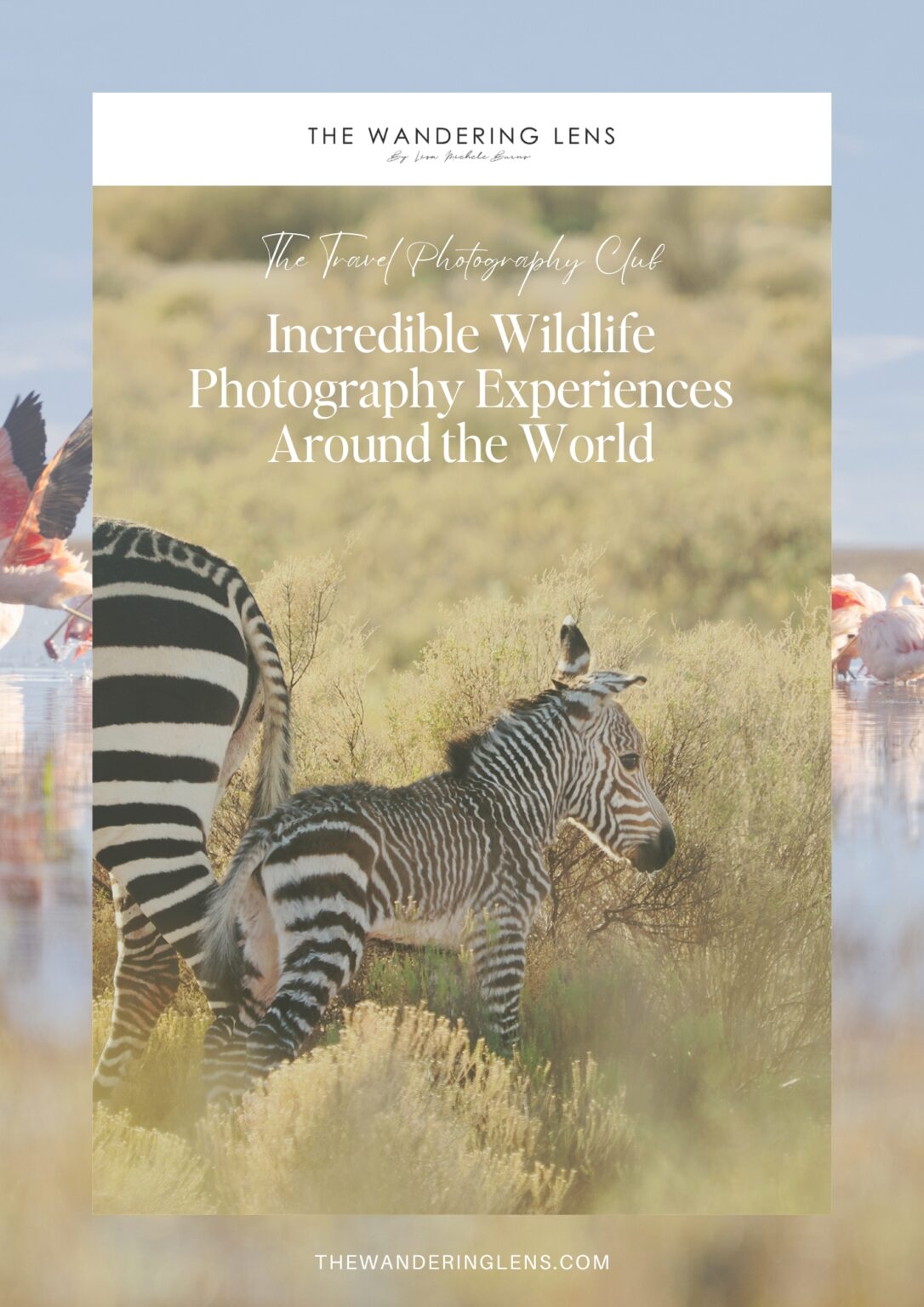 Wildlife Encounters Through the Lens of Travel Photographers - Photo ...