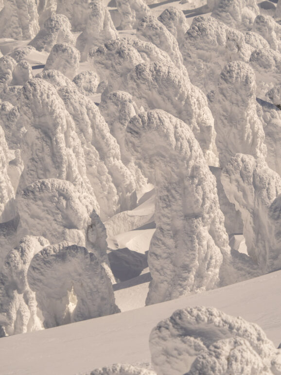 Japan Travel - Photographing the Snow Monsters of Zao, Tohoku