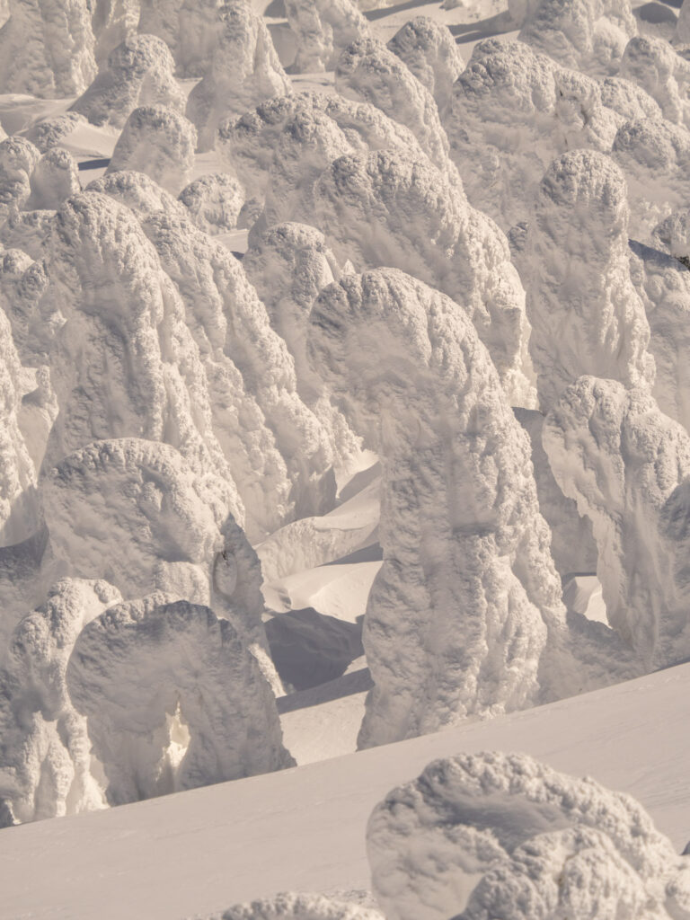 Japan Travel - Photographing the Snow Monsters of Zao, Tohoku