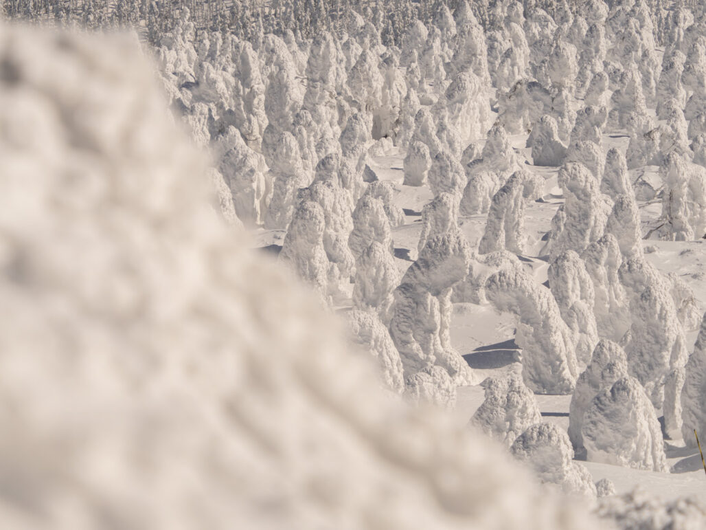 Japan Travel - Photographing the Snow Monsters of Zao, Tohoku