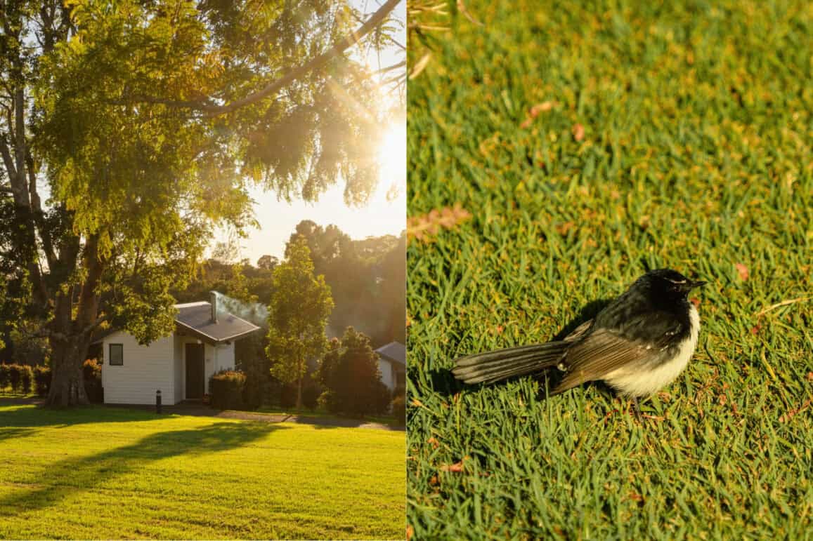 Beechmont Estate - A Visual Review of this Queensland Hotel