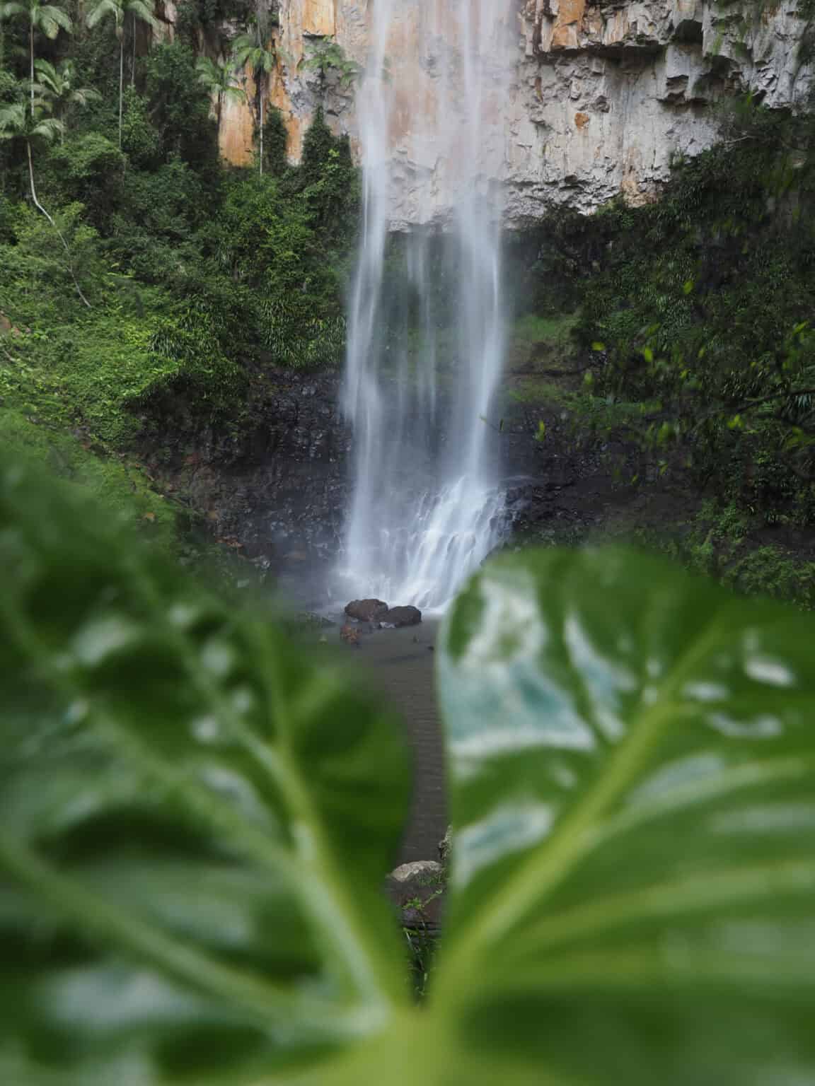 Beechmont Estate - A Visual Review of this Queensland Hotel