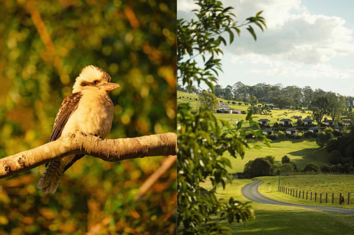 Beechmont Estate - A Visual Review of this Queensland Hotel